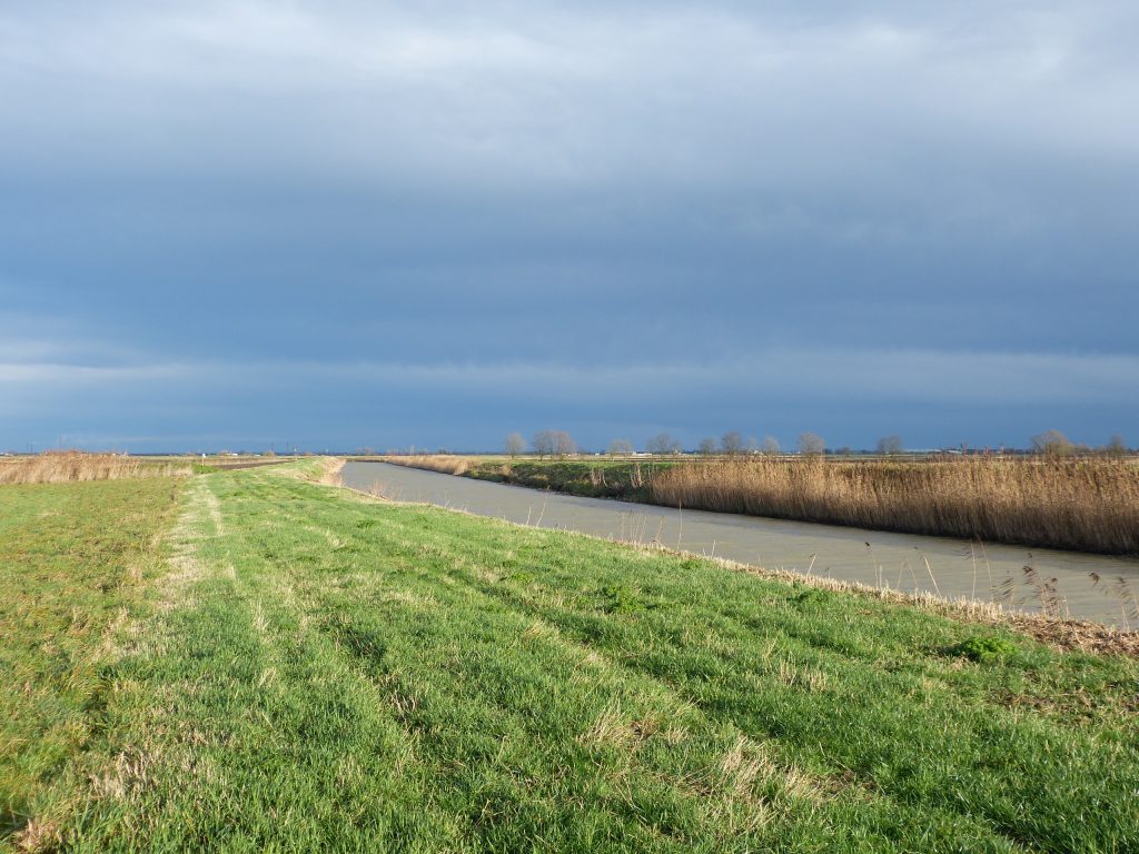 Fen Basin | Cambridgeshire Geological Society