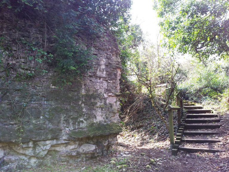 Burwell Pit and Spring | Cambridgeshire Geological Society
