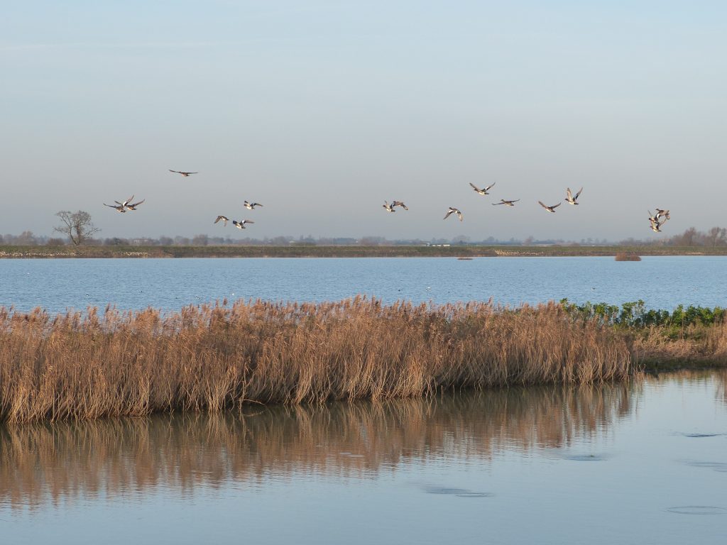 Ouse Valley | Cambridgeshire Geological Society