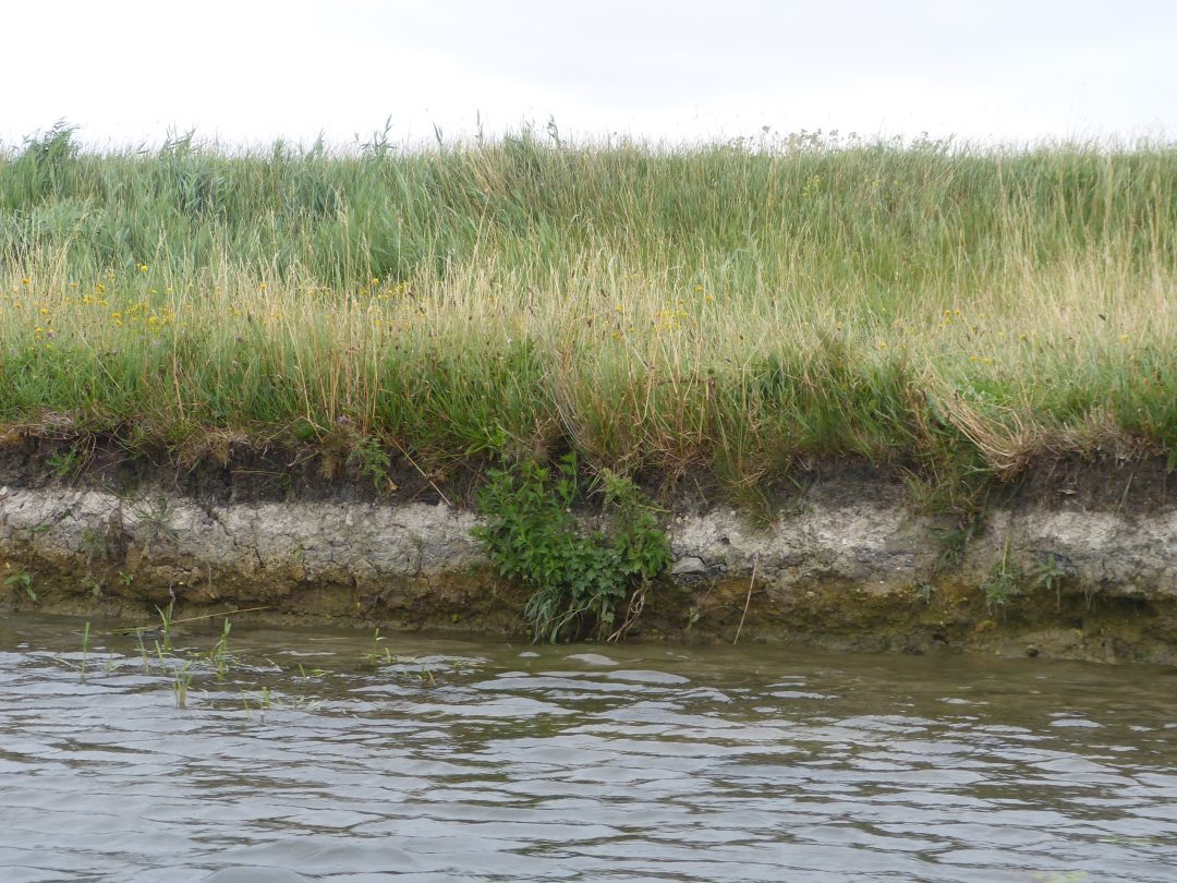 Ouse Valley | Cambridgeshire Geological Society
