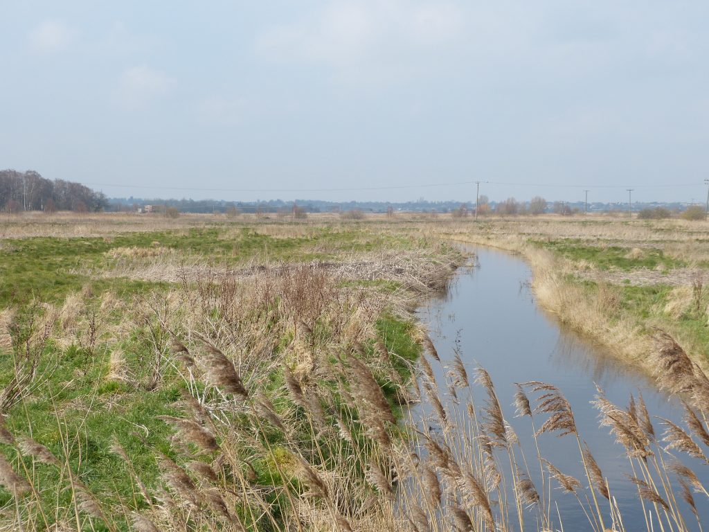 Fen Basin | Cambridgeshire Geological Society