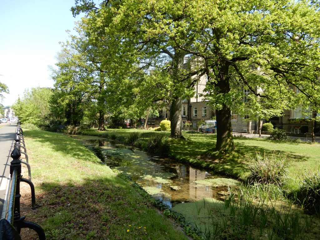 ‘The Nature of Cambridge’ published | Cambridgeshire Geological Society