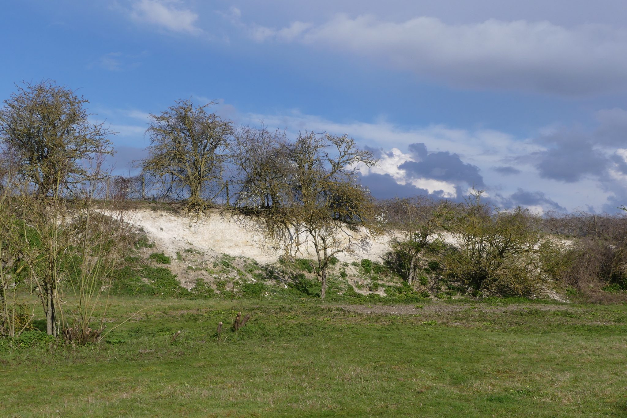 Heydon Chalk Pit | Cambridgeshire Geological Society